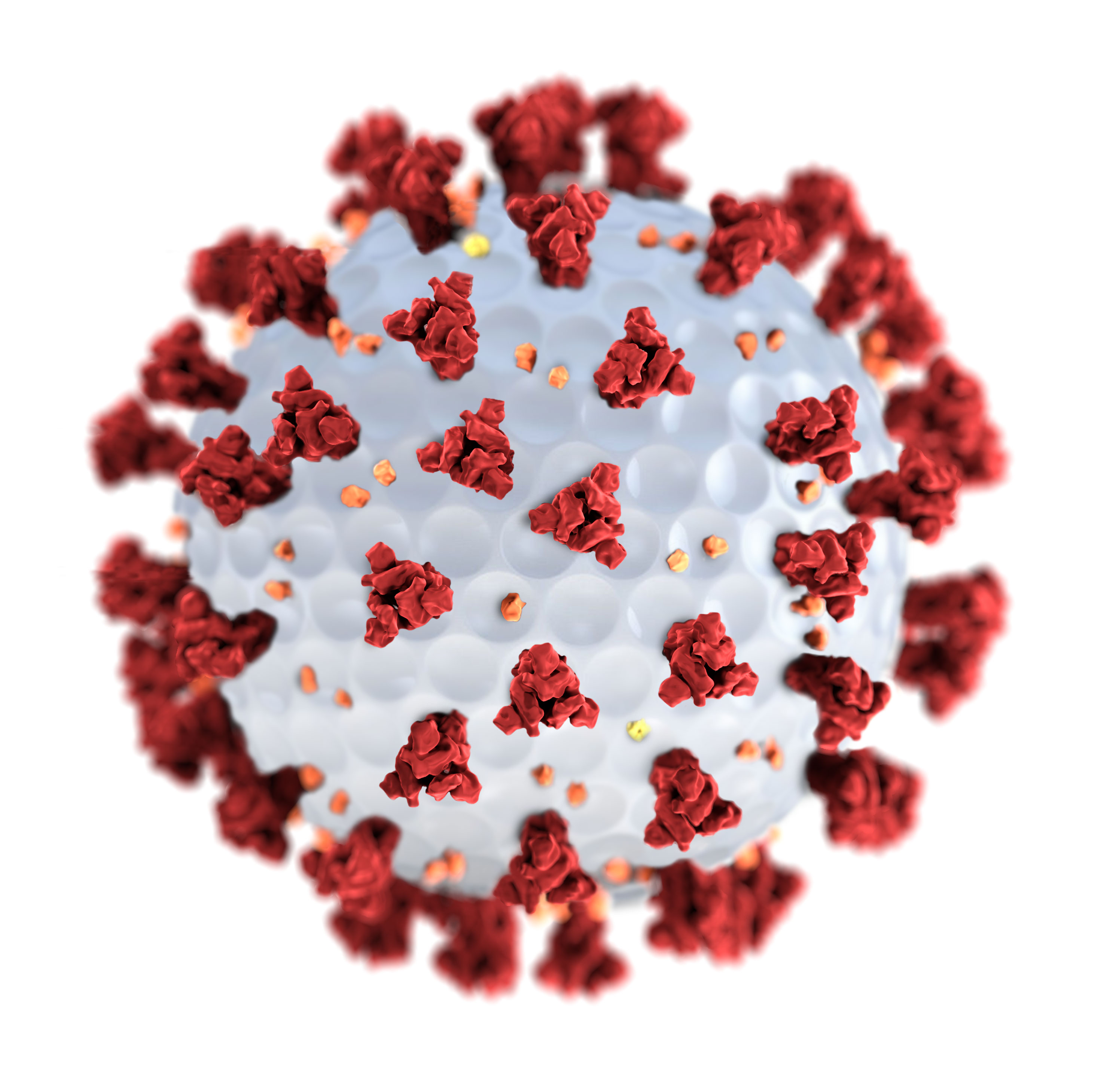 THE SUMMER THE GAME STOOD STILL - Golftime